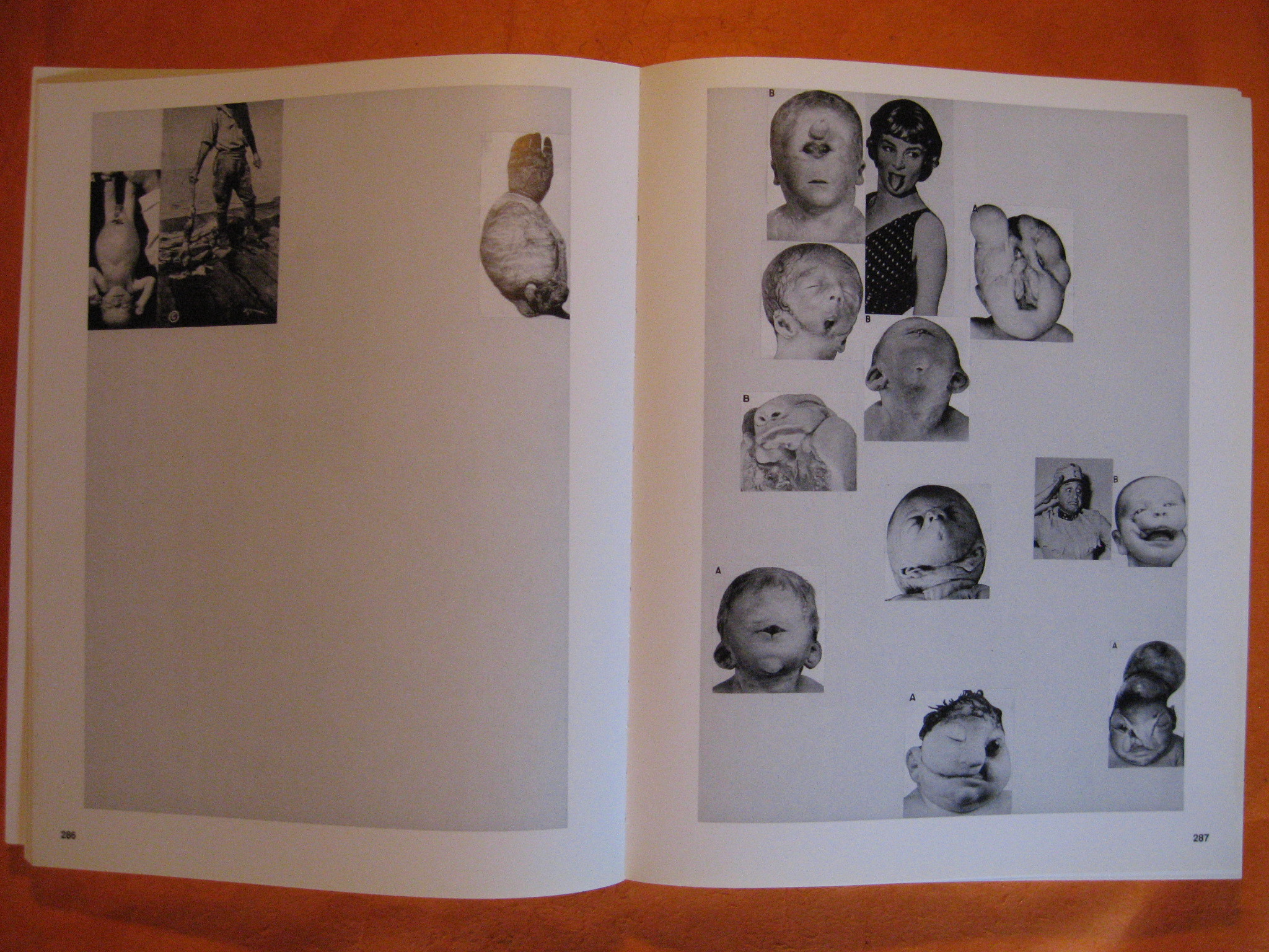The Vienna Group: A Moment of Modernity 1954-1960 The Visual Works and ...